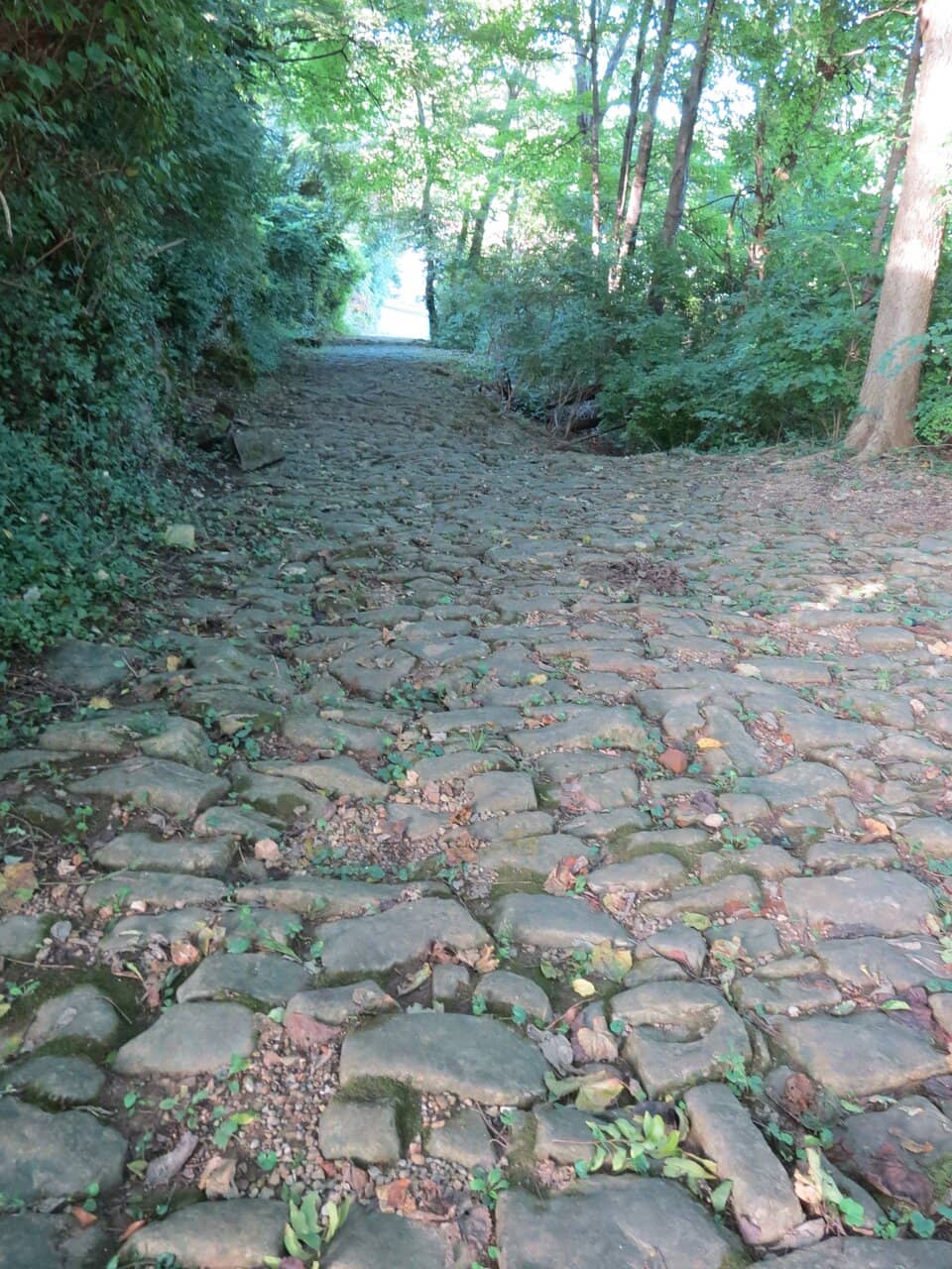 cobblestone path ideas
