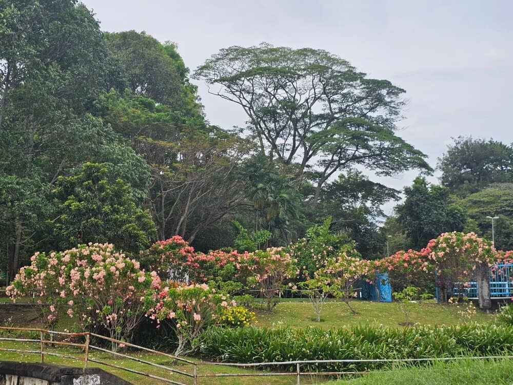 Taman Ujana Rimba Tropika (2026) – Best of TikTok, Instagram & Reddit ...