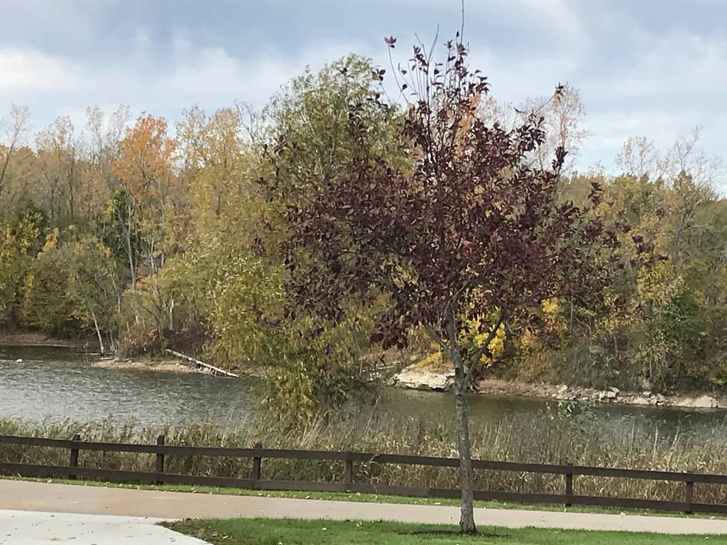 Hawk Island Park (2026) – Best of TikTok, Instagram & Reddit Travel Guide