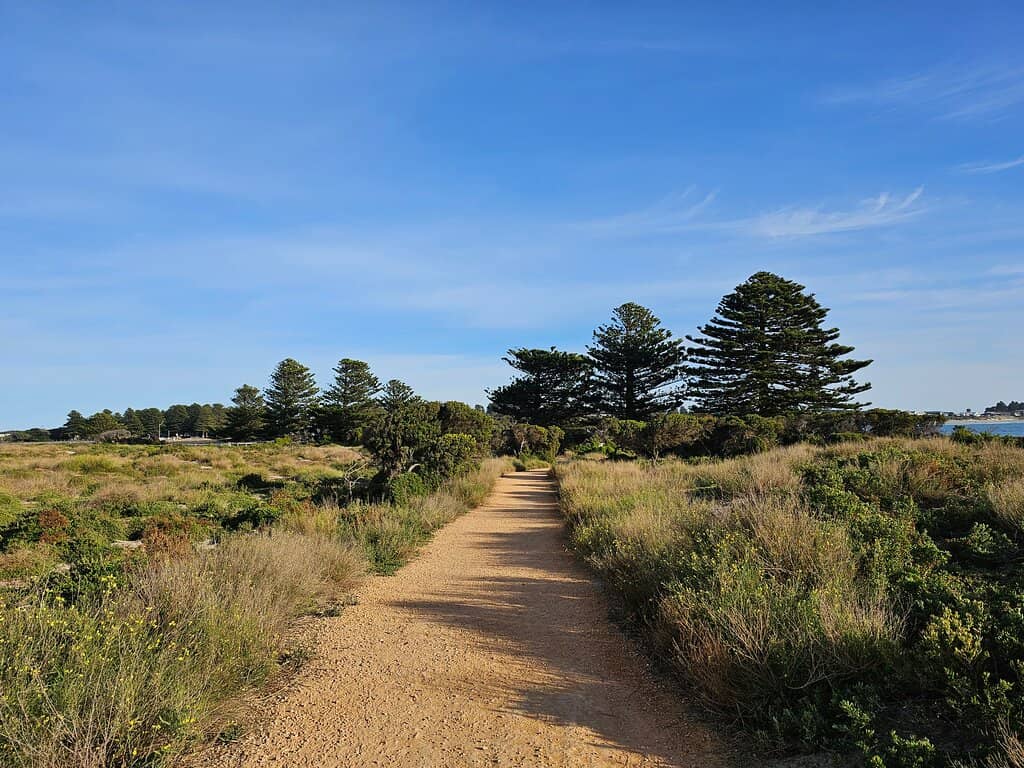 Griffiths Island Port Fairy Victoria (2026) – Best of TikTok, Instagram ...